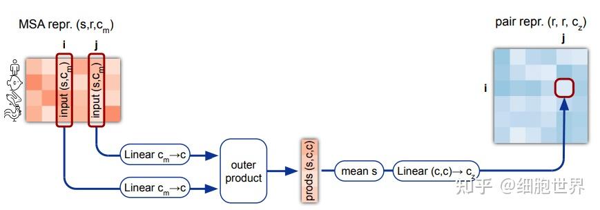 AlphaFold2从设计原理，算法到应用 - 知乎