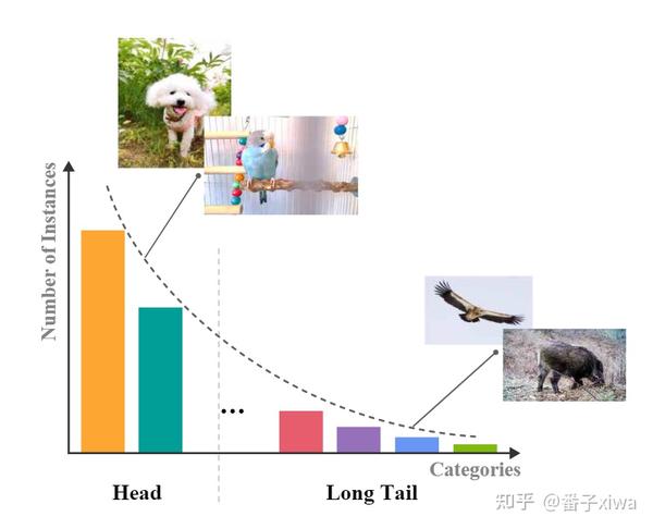 A Survey on Long-Tailed Visual Recognition - 知乎