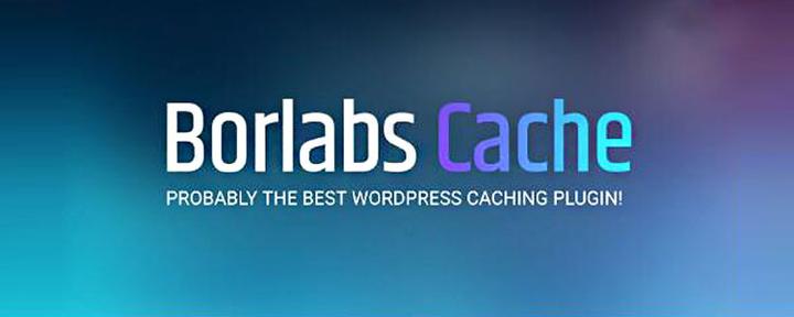 外贸建站缓存插件Borlabs Cache - 知乎