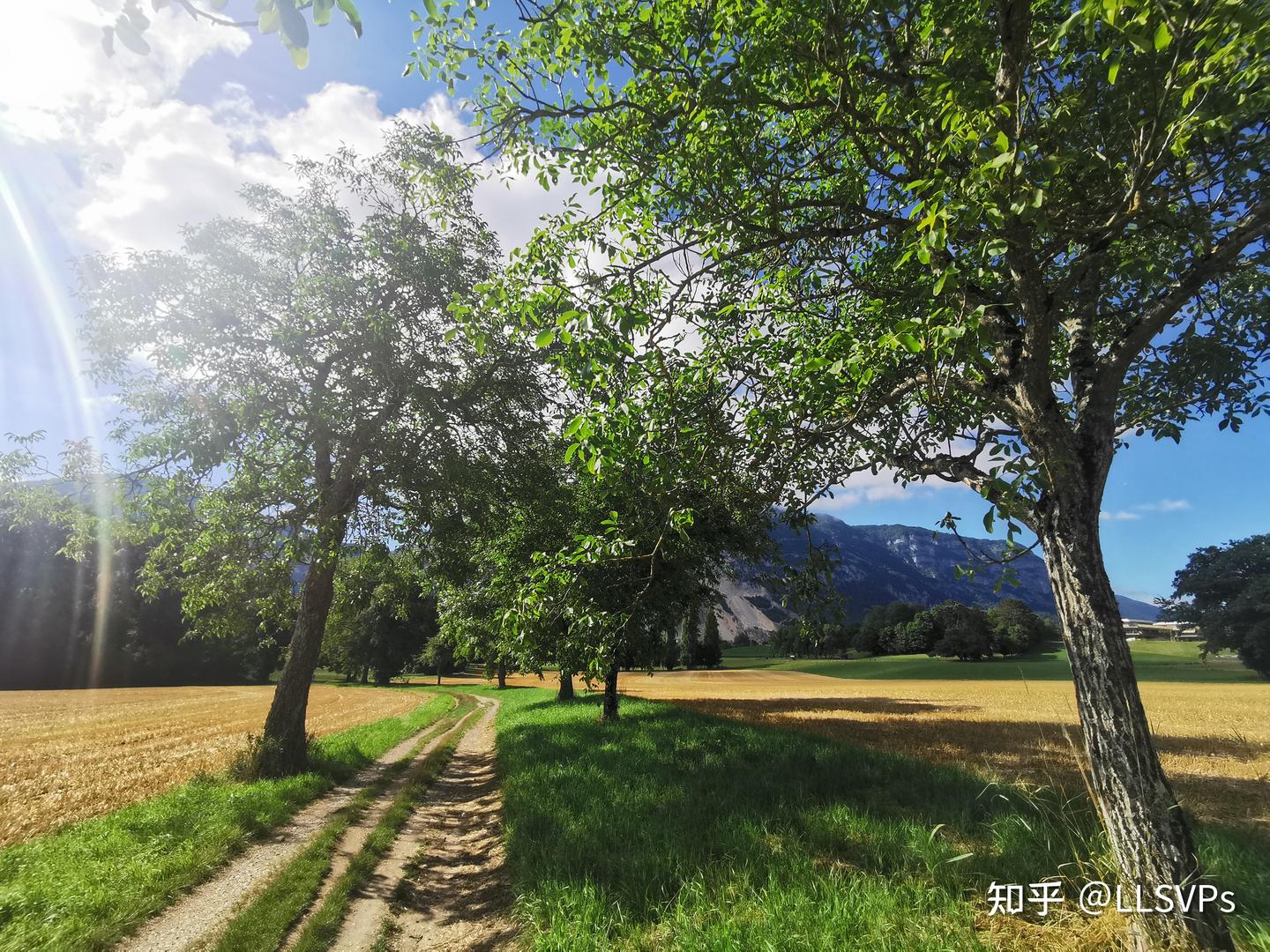 CSC瑞士访学办事指南 - 知乎