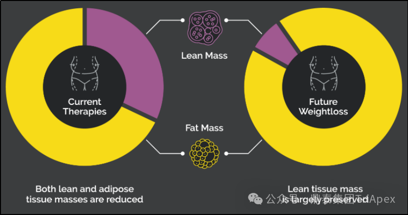 INHBE GalNAc-siRNA，ALK7 Lipid-siRNA最新进展 - 知乎