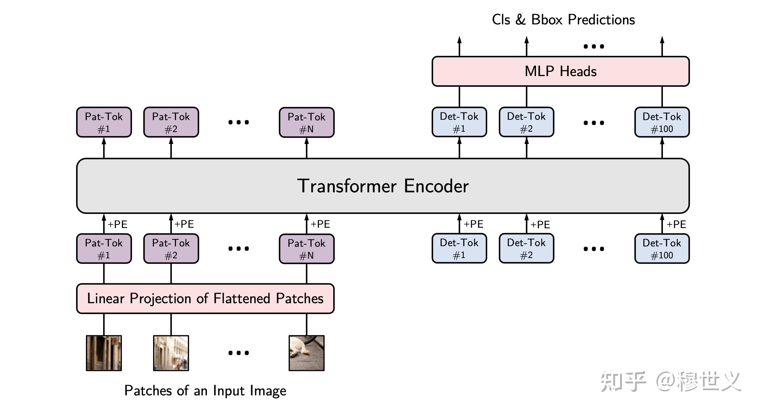 【CVPR25 HighLight】你的 ViT 实际上是一个图像分割模型 - 知乎