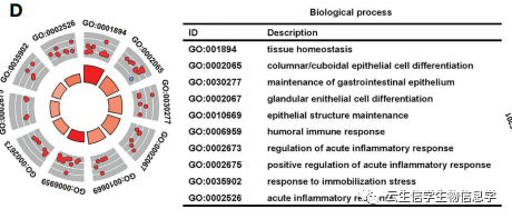 Cell和Nature共同关注“唾液酸化”，做生信超赞！lncRNA预后模型+实验=8分+，附带“唾液酸化”基因集合，可直接复现 - 知乎