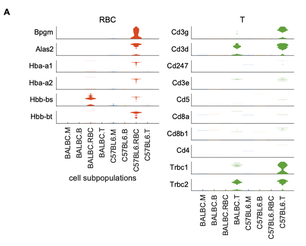 FEBS LETTER丨单细胞测序探讨BALB/c和C57BL/6小鼠巨噬细胞的区别 - 知乎