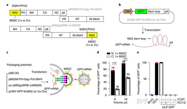 国内各家mRNA公司递送系统技术梳理(二） - 知乎