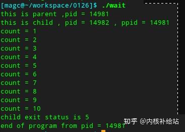 入门篇：进程等待函数wait详解 - 知乎