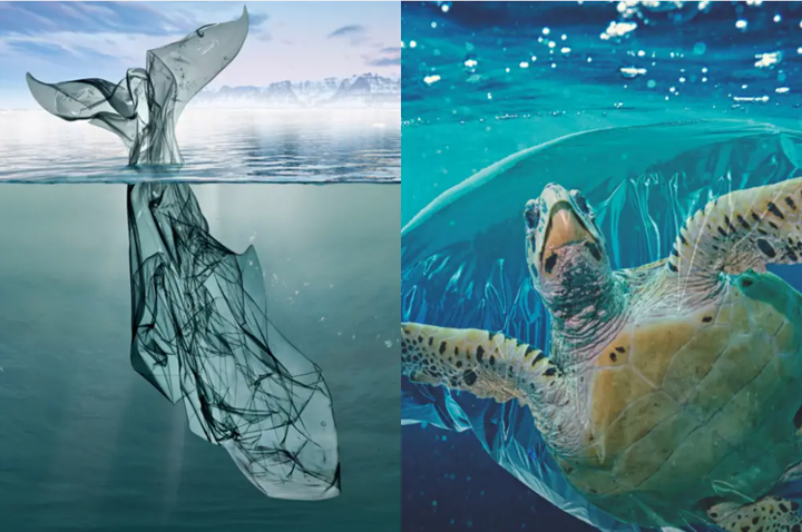 OCEAN CYCLE 海洋塑料循环回收认证 - 知乎