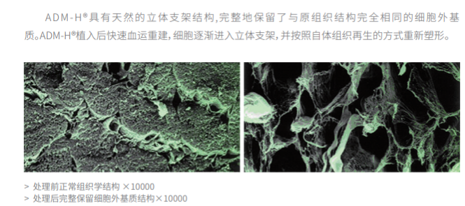 什么是美？美是千变万化的，admh美学的共鸣 - 知乎