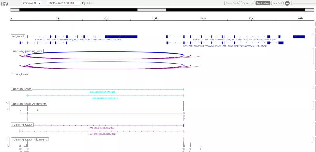 STAR-Fusion带你深入了解融合基因 - 知乎