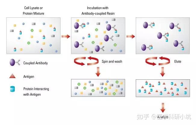 一文读懂CoIP实验 || 原理、实验流程、遇到的问题 - 知乎
