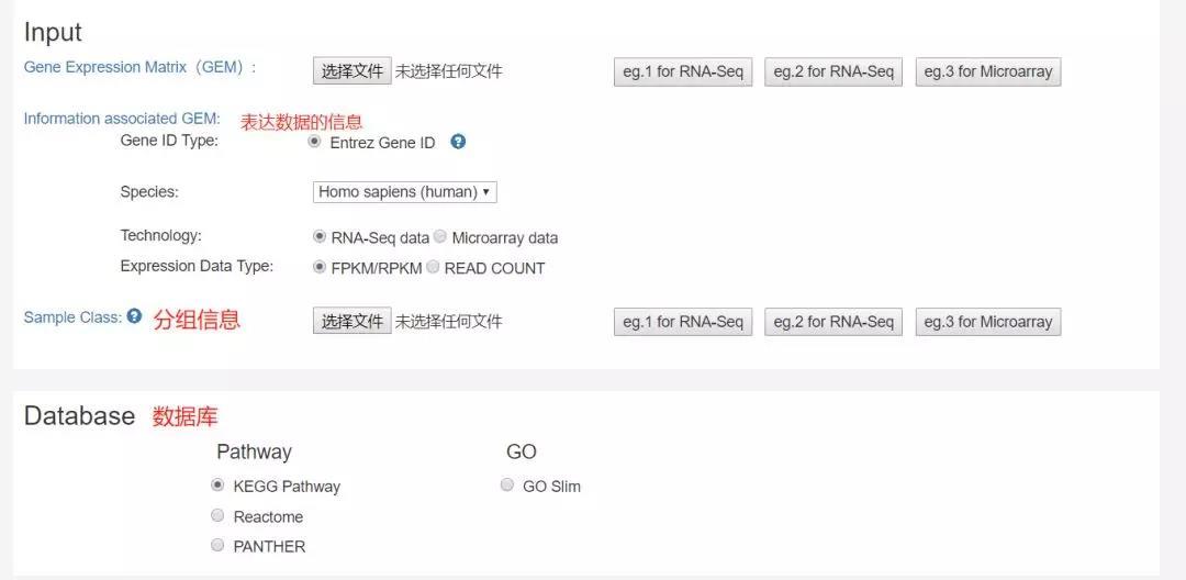 通路富集工具——KOBAS 3.0 - 知乎