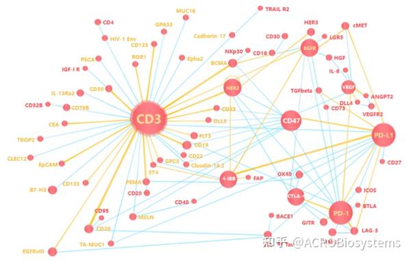 CD3：双抗领域热门“元素”解读 - 知乎