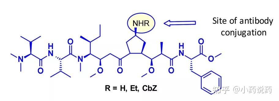 收藏！ADC全景概况（payload，linker，conjugate和Endocytosis） - 知乎