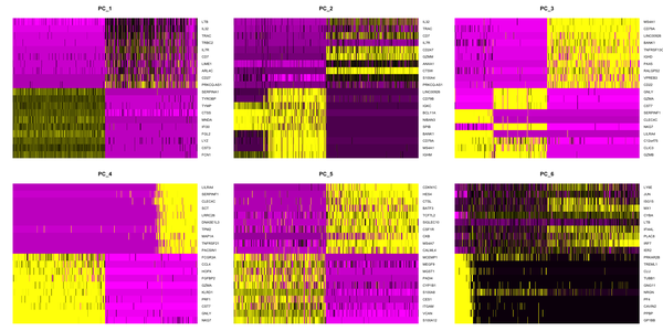 🤫 Seurat | 强烈建议收藏的单细胞分析标准流程（经典归一化与降维方法）（二） - 知乎