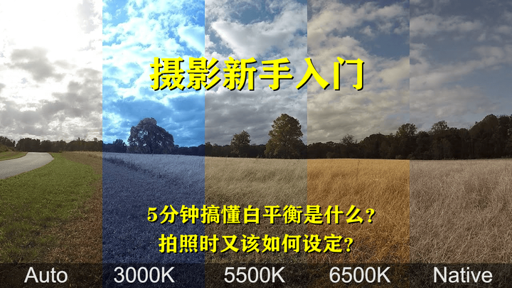 摄影新手入门：5分钟搞懂白平衡是什么？拍照时又该如何设置？ - 知乎