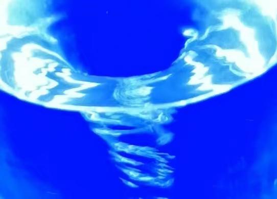 Principles of Topological Vortex Gravitation (Extracted from the ...