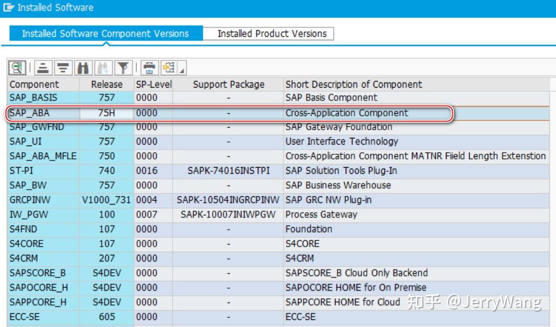 从 ABAP Netweaver 到 ABAP Platform，我们一直在努力 - 知乎