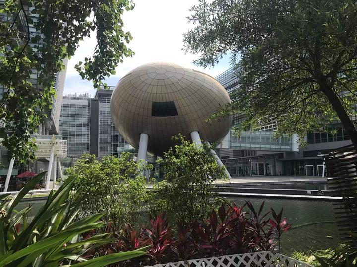 vie架构搭建 - 知乎