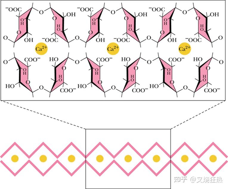 生物化学NOOB笔记（II） - 知乎