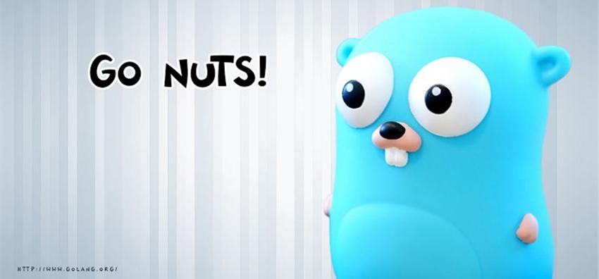 Golang指南：顶级Golang框架、IDE和工具列表 - 知乎