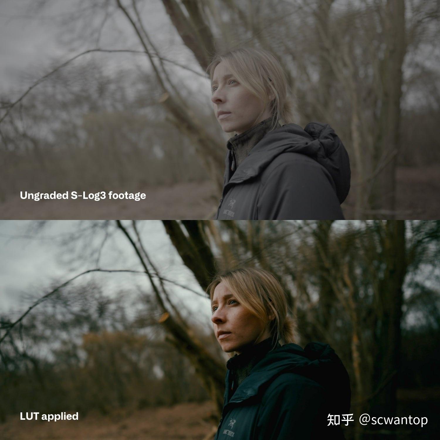 热门索尼S-Log3电影感氛围旅拍LUTS调色预设 Christian Mate Grab - Sony S-Log3 Cinematic LUTs - 知乎