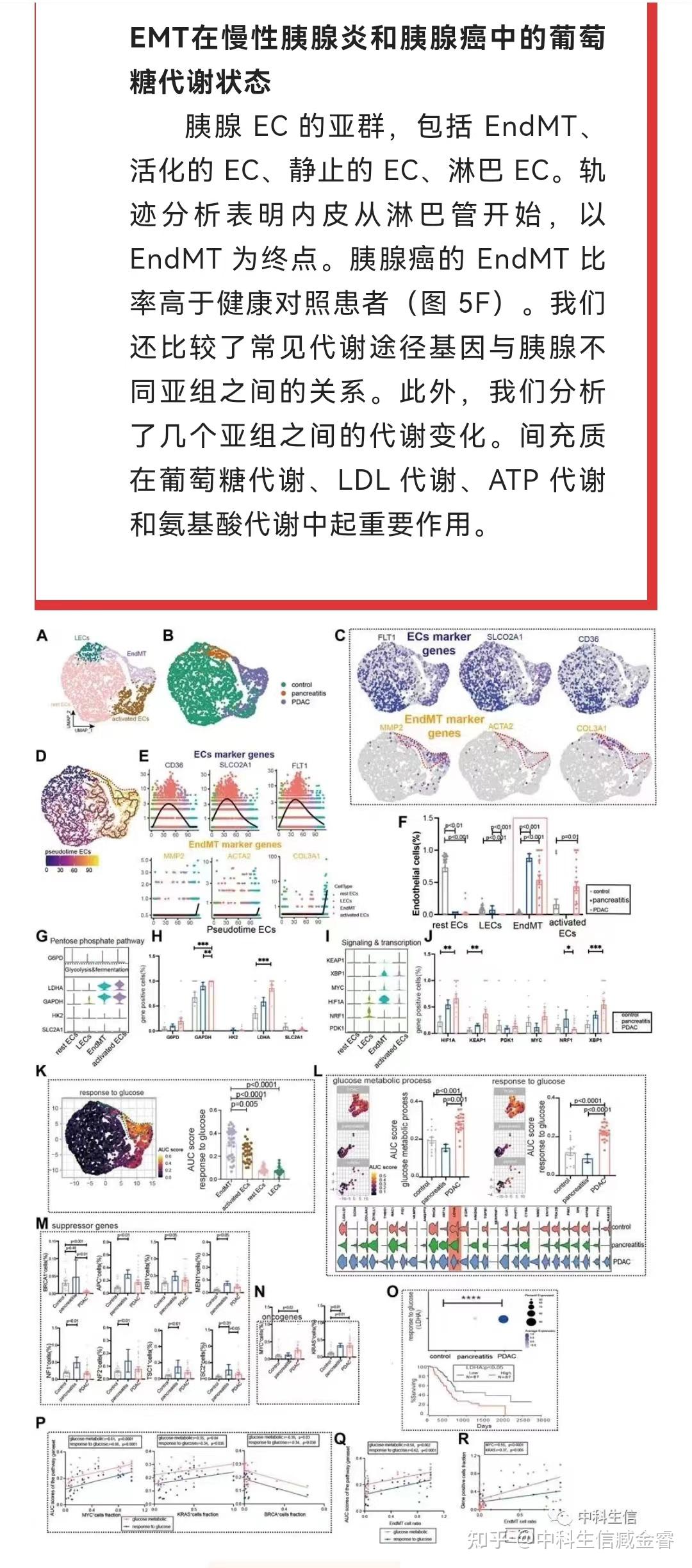 EndMT+单细胞，教你另辟蹊径收获5+SCI！ - 知乎