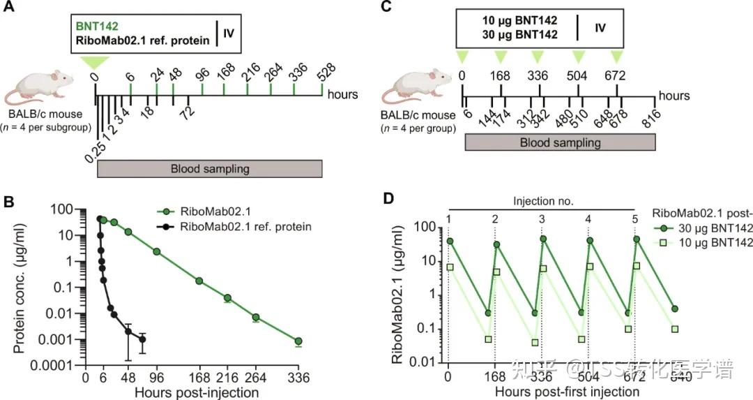 【SCIENCE】子刊～BioNTech 以脂质体递送mRNA型的双特异抗体(RiboMab) - 知乎