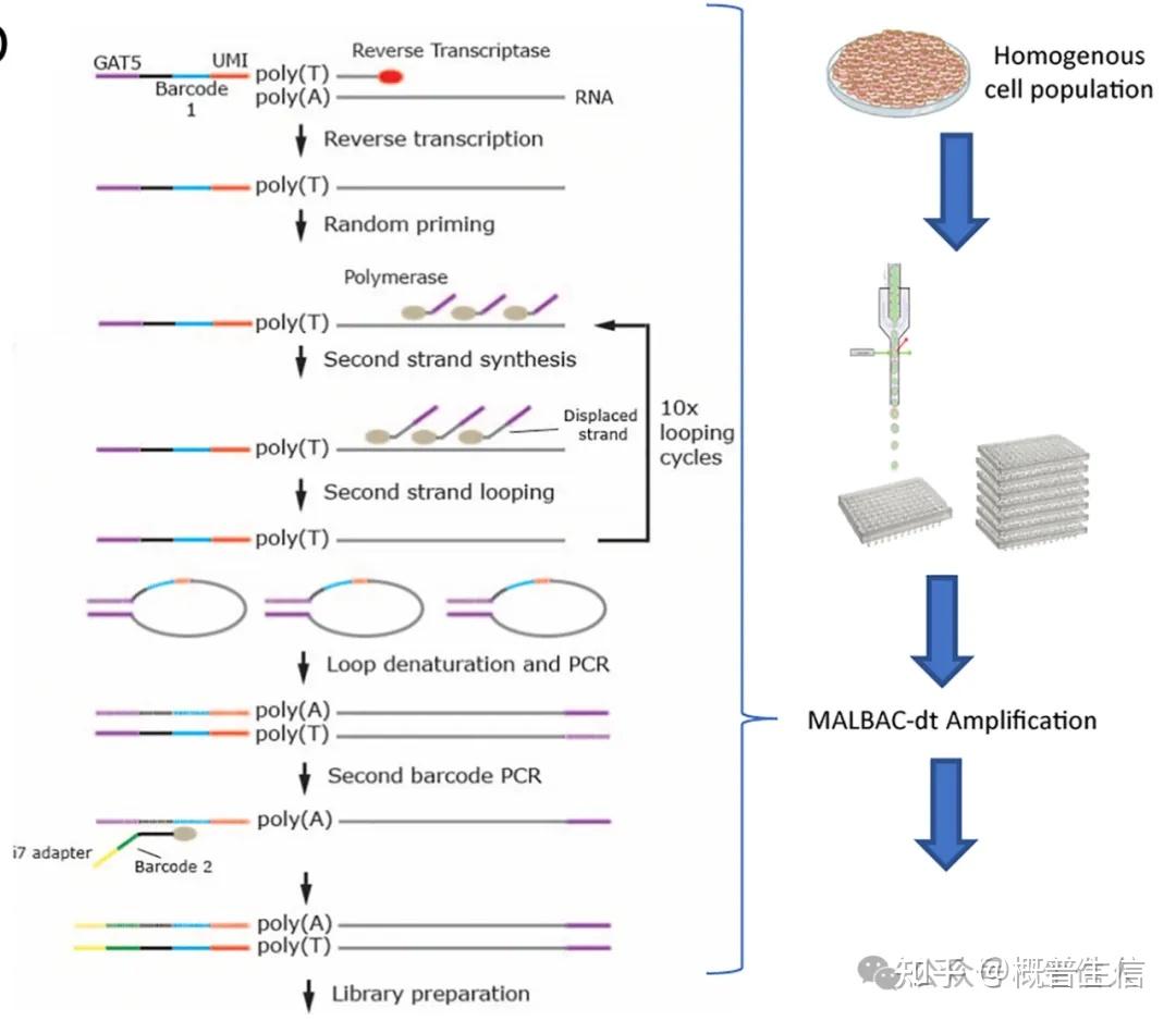 生信领域必读！谢晓亮院士团队的高分文献与技术图谱 - 知乎
