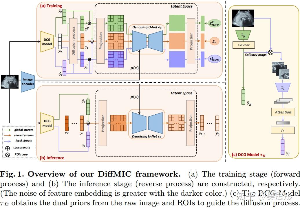 DiffMIC:双引导医学图像分类扩散模型 - 知乎
