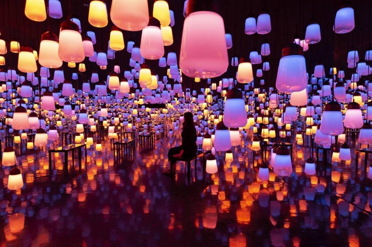 全球爆红的teamLab艺术展，是来中国骗钱的网红打卡展吗？ - 知乎