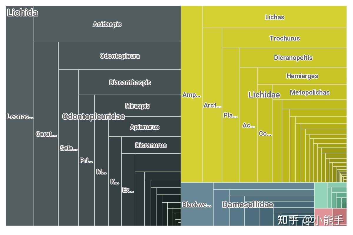 【三叶虫分类科普 2/ N 】裂肋虫目 - Lichida - 知乎