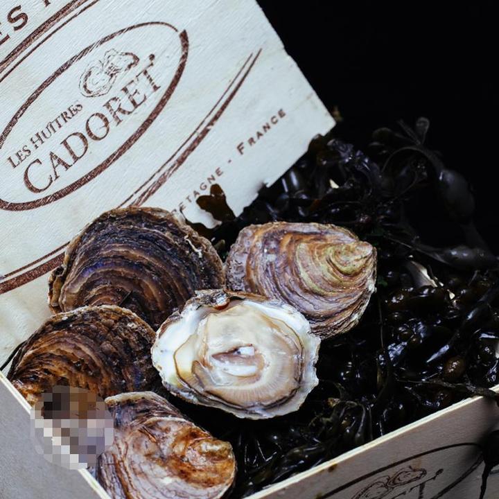 “生蠔之王”布列塔尼-贝隆生蠔 King of Oyster-Huître Belon de Bretagne（之四) - 知乎
