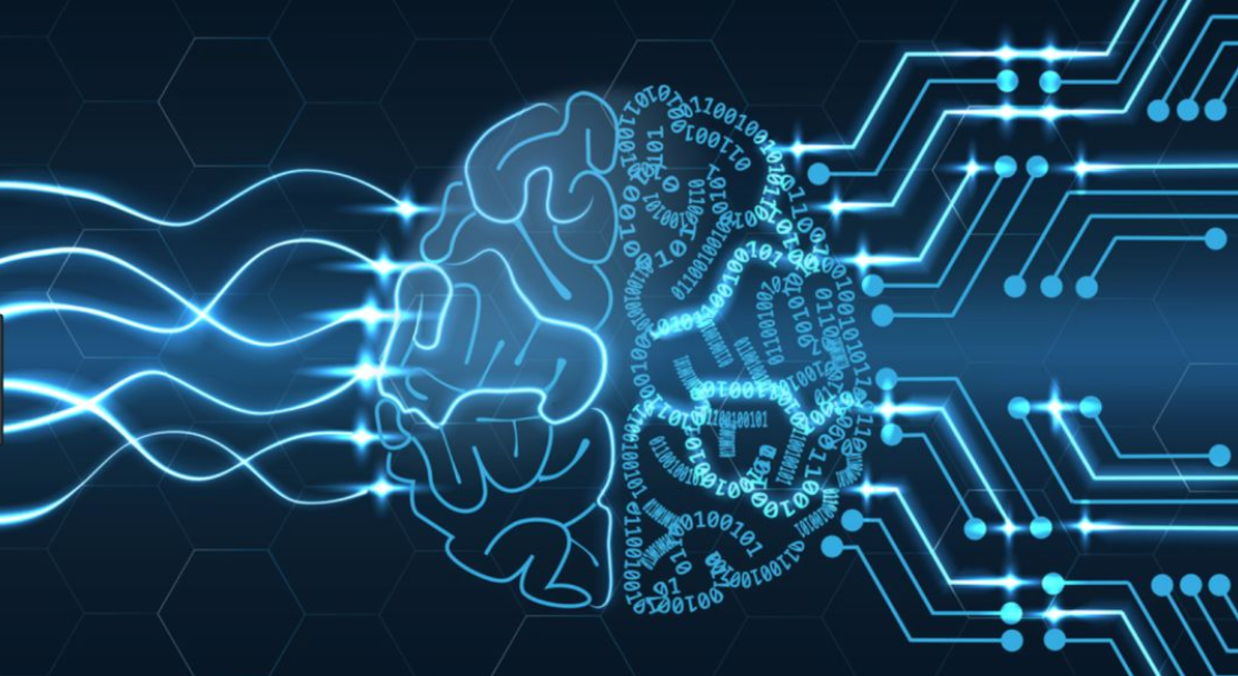 Nat Protoc | AI学习量化细胞和细胞核形态异质性，可用于表型或药物筛选 - 知乎