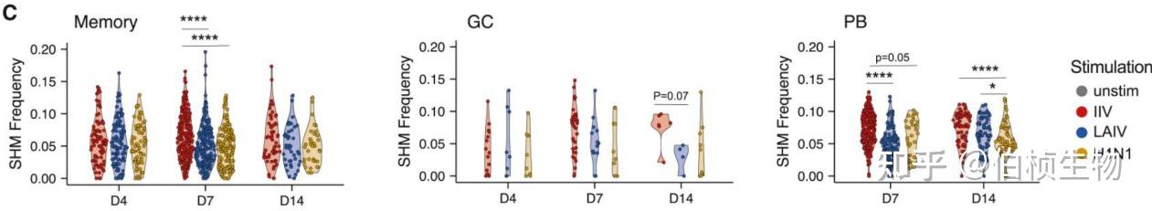 不同流感疫苗形式介导的人免疫类器官和抗体反应 - 知乎