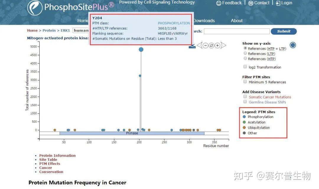 9个Western Blot工具，帮你搞定实验最关键的一步！ - 知乎