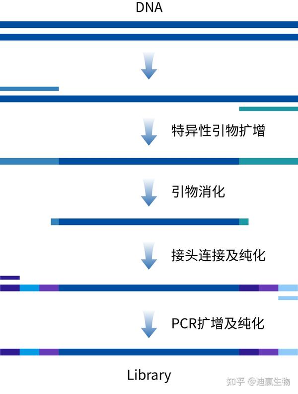 探针捕获法tNGS病原检测 - 知乎