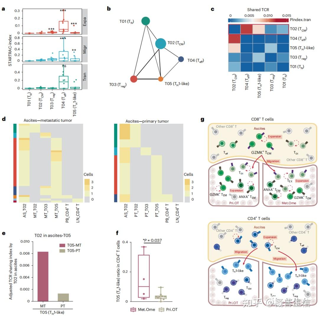 张泽民老师最新文章详解：单细胞多部位探究组织驻留记忆T细胞 - 知乎