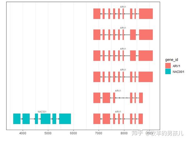 R语言可视化展示gff3格式基因组注释文件简单小例子 - 知乎