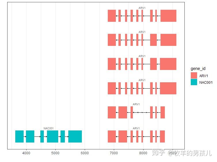 R语言可视化展示gff3格式基因组注释文件简单小例子 - 知乎