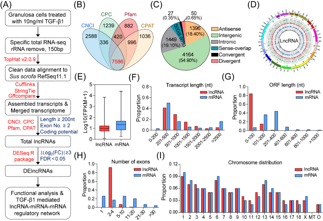 Cell Prolif︱南京农业大学李齐发/杜星团队揭示TGF-β1调控卵巢颗粒细胞转录组变化的普遍机制 - 知乎