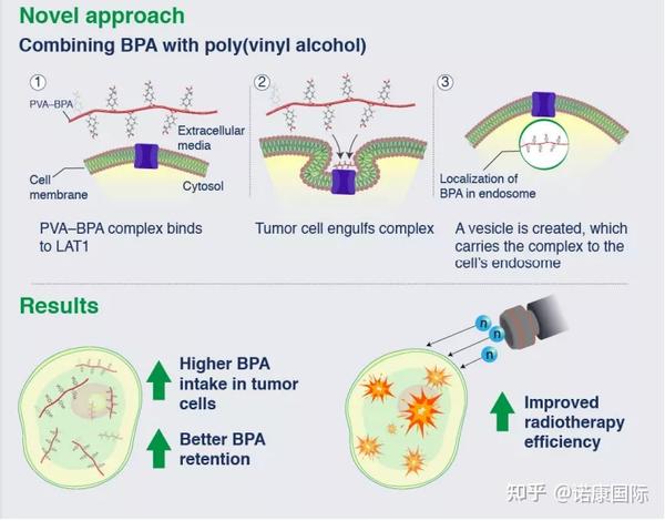 硼药，让癌症进入慢性病时代！ - 脉脉