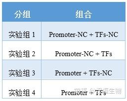 转录因子与启动子相互作用研究策略 - 知乎