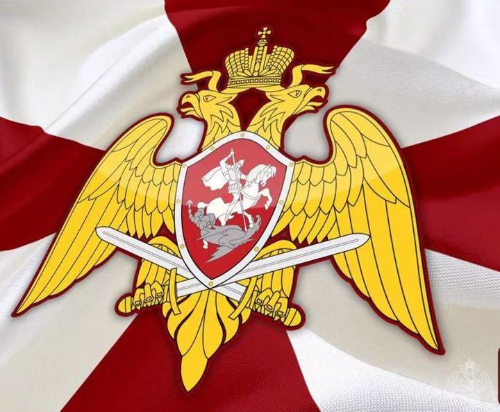 俄联邦国民警卫队的双刃—OMOH与СОБР - 知乎