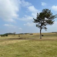 java.lang.NoClassDefFoundError: Failed resolution of: Lcom - 知乎