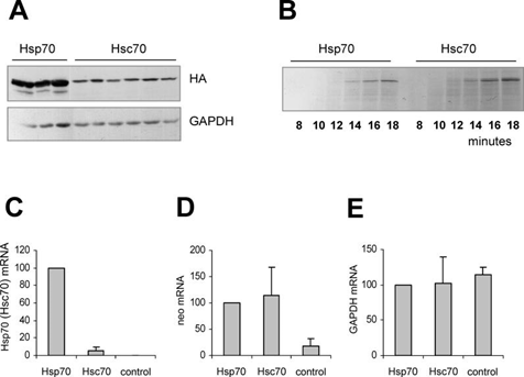 【耀文解读】mRNA篇|mRNA序列优化——如何进行CDS序列的设计与优化 - 知乎