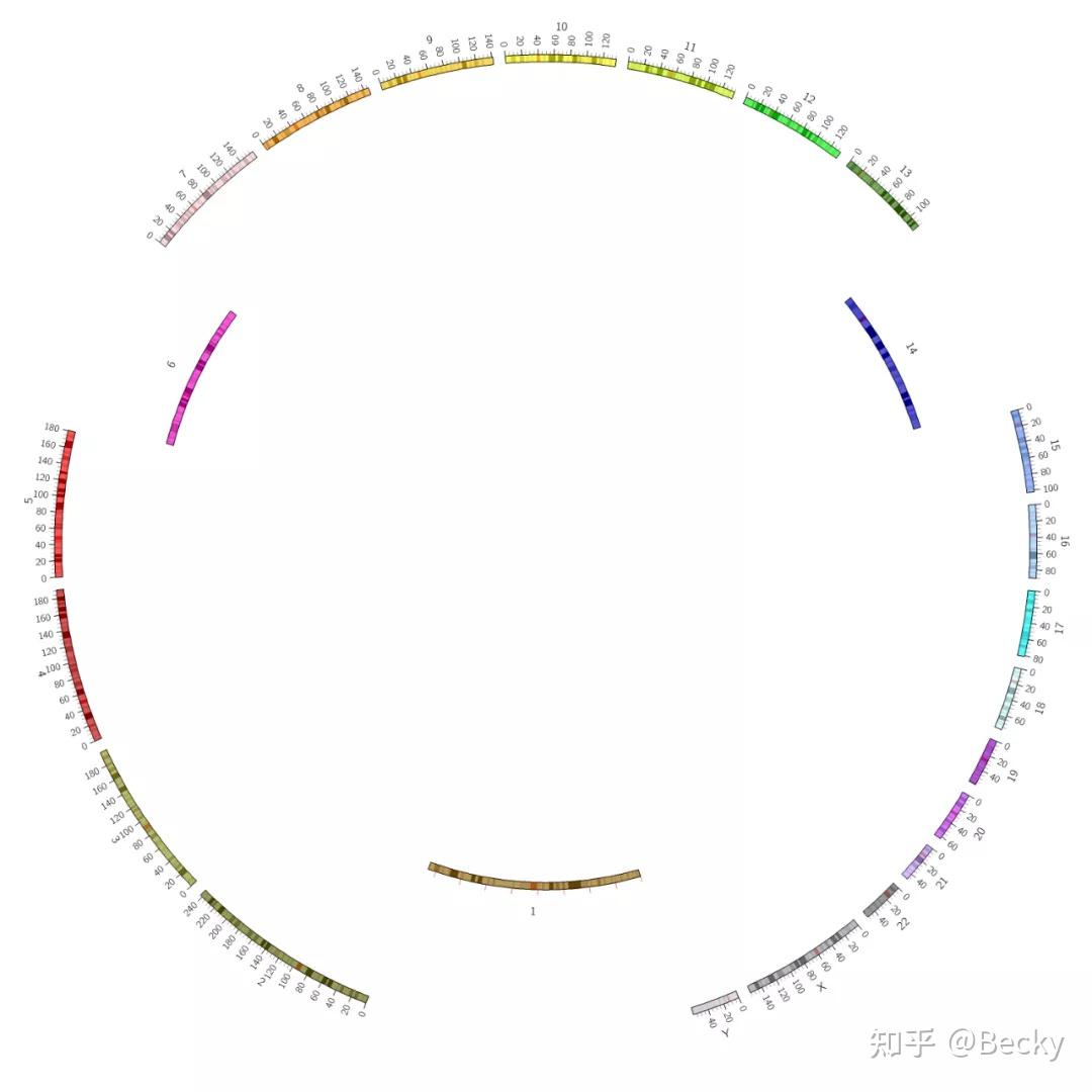 CIRCOS绘制美丽的圈图 - 知乎