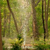 如何使用Pai-Megatron-Patch框架进行SFT训练 - 知乎