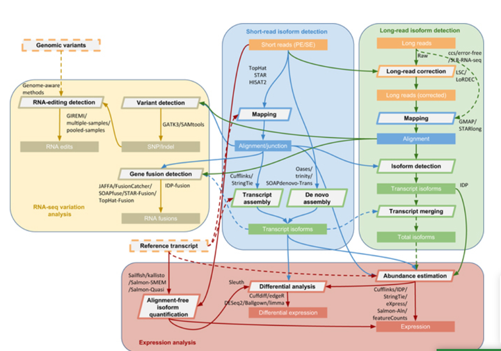 RNA-seq入门实战（二）：上游数据的比对计数——Hisat2+ featureCounts 与 Salmon - 知乎