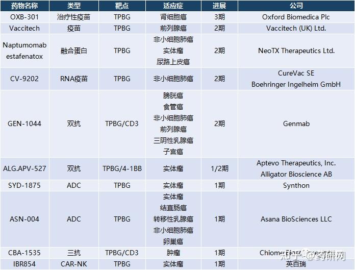 ADC新靶点: TPBG（5T4） - 知乎