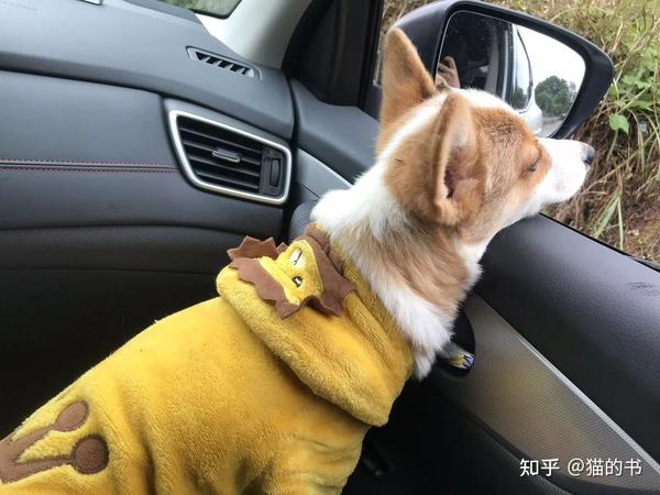 你还好吗？ 知乎